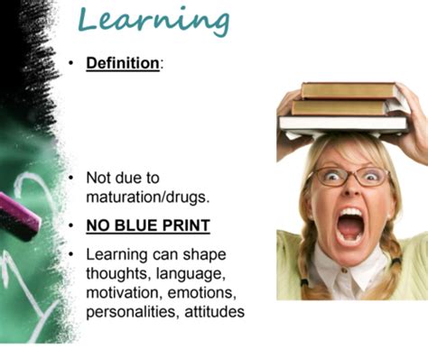 Classical Conditioning Flashcards Quizlet