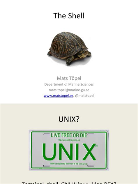 The Shell And Filesystem Pdf Command Line Interface Graphical User Interfaces