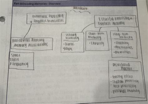2 4 encoding memories flashcards quizlet
