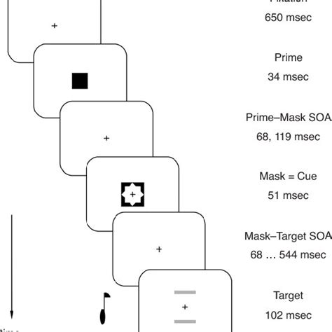 Schematic Diagram Of Stimulus Events In Experiments 24 In The Choice Download Scientific