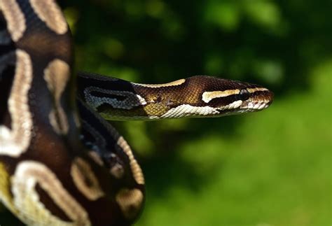 We Are Happy That Our Work With The Open Source Security Foundation On The Spdx Python Tools Is