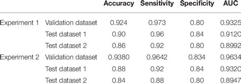 Classification Performance On Validation And Test Datasets Download