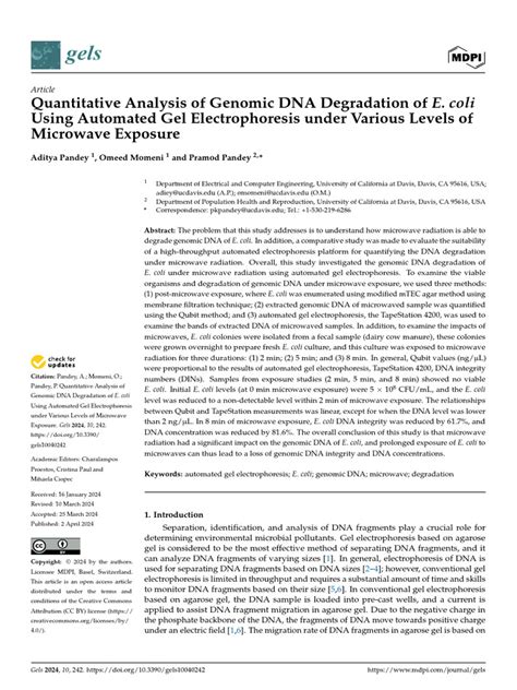 Quantitative Analysis Of Genomic Dna Degradation O Pdf Agarose Gel Electrophoresis Gel