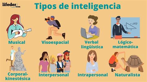 Los 8 Tipos De Inteligencia Y Cómo Identificarlas
