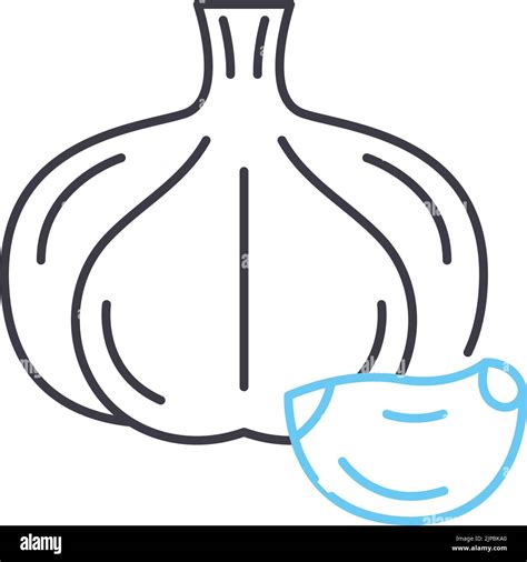 Garlic Line Icon Outline Symbol Vector Illustration Concept Sign Stock Vector Image And Art Alamy