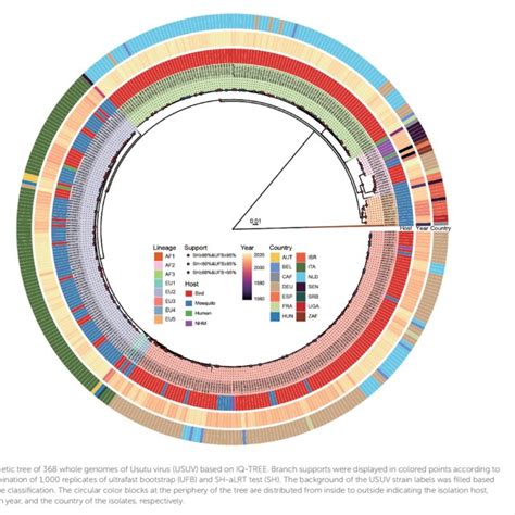 Heatmap Of Mean Relative Synonymous Codon Usage Rscu Values Among The Download Scientific