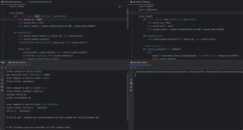 coding backdoors with python a comprehensive guide