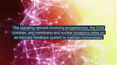 CCM Signaling Complex CSC Couples Both Classic And Non Classic Progesterone Receptor Signaling