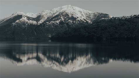 감기 거울 겨울 경치 고립된 고요한 고요함 광야 그레이 스케일 사진 그레이스케일 그림 같은 깨끗한 눈 드라마틱한 매혹적인 몹시 추운 미니멀리스트