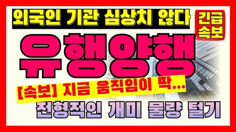 유한양행 주가전망 긴급 속보 1주라도 털리시면 안됩니다 지금 유한양행 이 자리 전형적인 개미 물량 뺏으려는 자리 유한양행 유한양행주가전망 폭등 공시 긴급