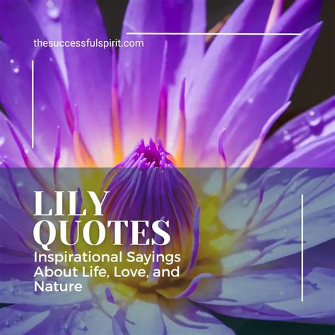 Lily Quotes Inspirational Sayings About Life Love And Nature