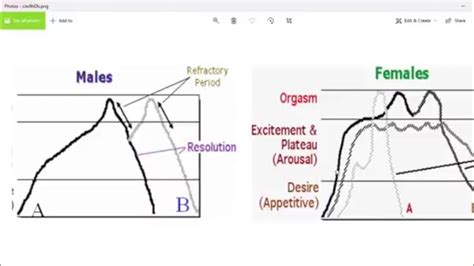 கல்யாணம் ஆன உடன் செக்ஸ் டாக்டர பாருங்க Sex Dr Kovai திருமணத்துக்கு முன் ஆலோசனை For Men Youtube