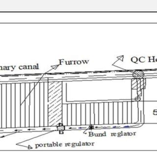 Layout Of Field Experiment Area Download Scientific Diagram