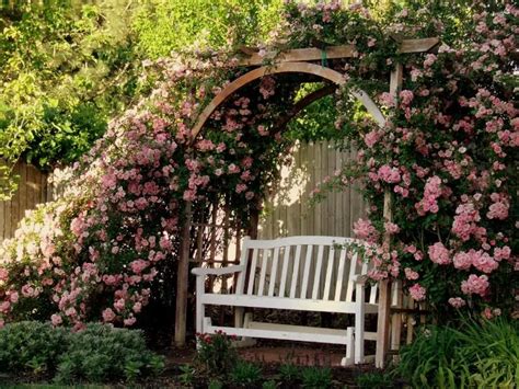 My Rose Arbor - Garden Photo Gallery Forum - GardenWeb | Garden archway ...