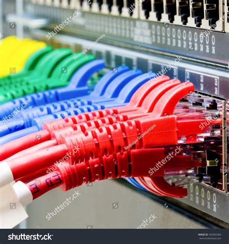 Network Switch Utp Ethernet Cables Stock Photo 183350366 Shutterstock