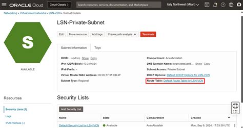 Use Oracle Cloud Infrastructure DNS To Resolve Native Domains