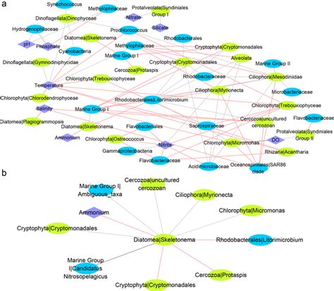 Co Occurrence Networks Between Prokaryotes And Microeukaryotes A Download Scientific Diagram