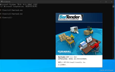 7 Pyqt 设计并实现【工厂扫码装箱系统】 Python代码实现bartender自动化打印条码标签python调用