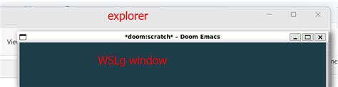 support for ignore windows for wslg applications · issue 489