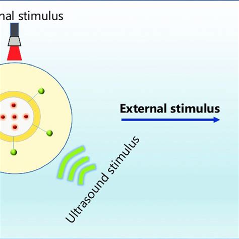 Drug Release From Stimuli Responsive Nanocarriers Triggered Through Download Scientific Diagram