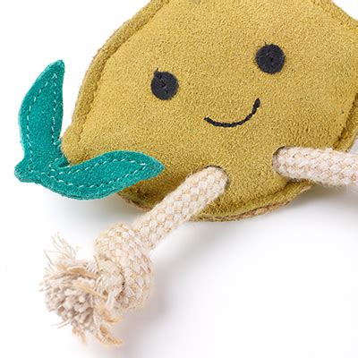 Libby The Lemon Eco Toy