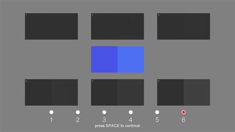 The Arrangement Of Experimental Patches Download Scientific Diagram