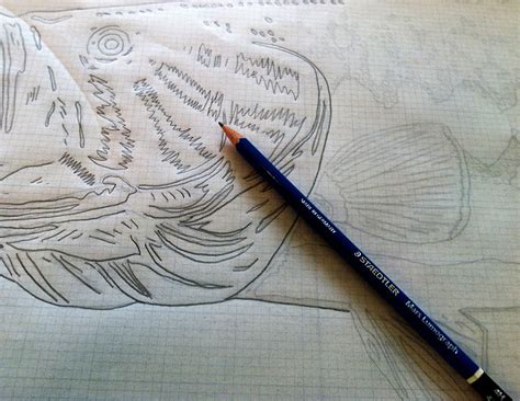 Largemouth Bass Sketch At Explore Collection Of