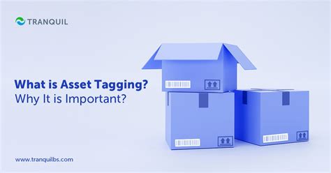 What Is Asset Tagging Why It Is Important Tranquil