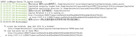 远程访问ubuntu服务器上的jupyterlab jupyter notebook ubuntu怎么查看jupyter lab版本 csdn博客
