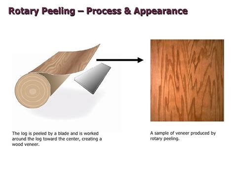 Rotary Cut Vs Flat Cut Veneers