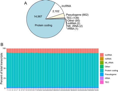 A Summary Of Transcript Biotypes In The Whole Transcriptomics