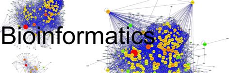Do The Analysis Of Biological Data Related To Bioinformatics By Shahbazmunir11