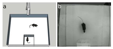 Escola De Ciências E Tecnologia Ufrn