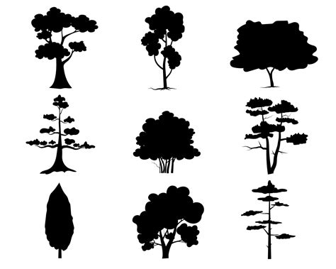Black Branch Tree Or Naked Trees Silhouettes Set Hand Drawn Isolated Illustrations