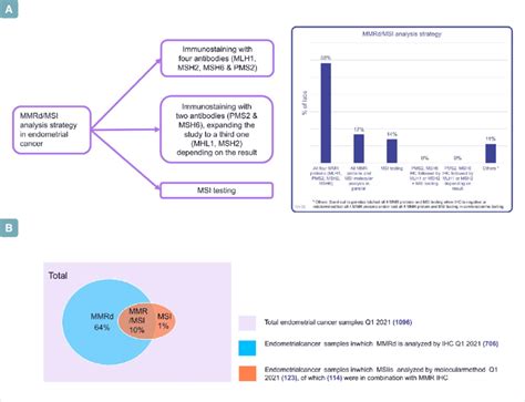 A Mmrdmsi Analysis Strategy B Mmr Assessment In 1096 Ecs From
