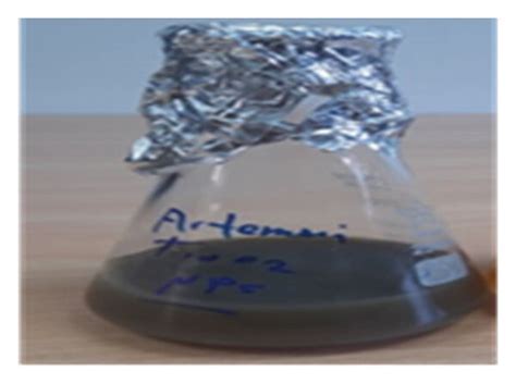 Formation Of Tio2 Nps Using A Herb Alba Aqueous Extract A Tio2