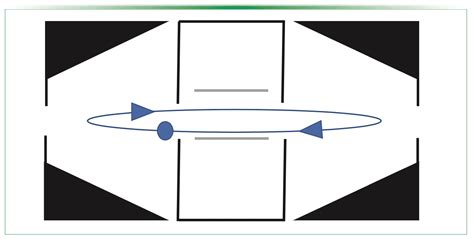 Charge Detection Mass Spectrometry Whats The Big” Deal