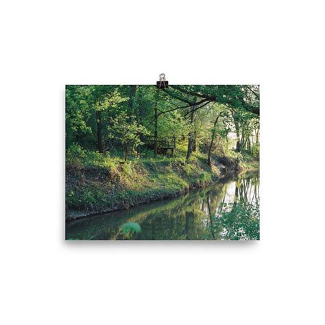 Lush Poster Film Photo — Anthony J Procopio Ross