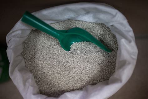 What Is Cat Litter Made Of Vet Reviewed Interesting Facts Hepper