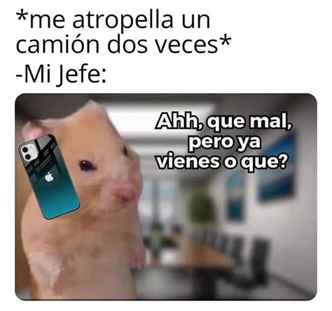 Mi Mejor Amiga Me Das Un Consejo Yo Autom Ticamente Para Qu Para Que Hagas Lo Que Te Da