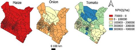 the net present value of the solar pv irrigation system for maize