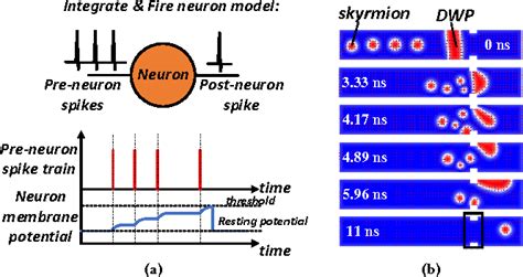Figure 2 From Developing All Skyrmion Spiking Neural Network Semantic Scholar