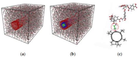 Atomistic Modeling And Molecular Dynamic Simulation Of Polymer