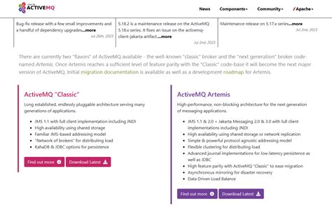 应该下那个 activemq cwikius