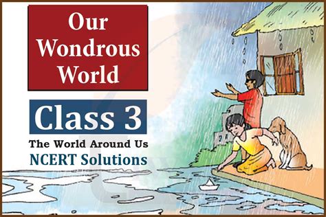 [for Session 2025 26] Class 3 Evs Our Wondrous World Solution With Mcq