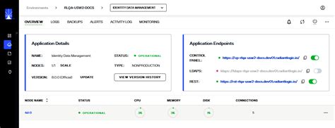 Environment Details Radiant Logic Documentation