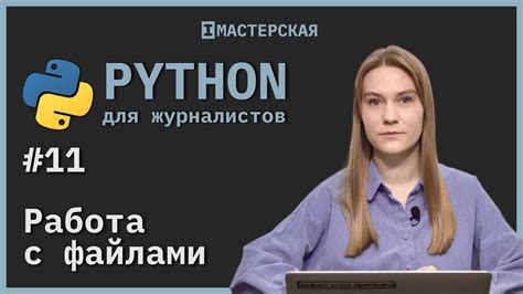 Python Урок 11 Работа с файлами Youtube