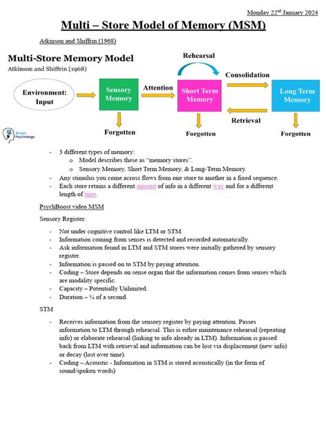 Multi Store Memory Model Msm Pdf Memory Long Term Memory