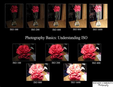 Wendy Christy Photography Learning And Understanding Iso