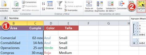 Microsoft Excel 2010 Creación y control de tus propios grupos
